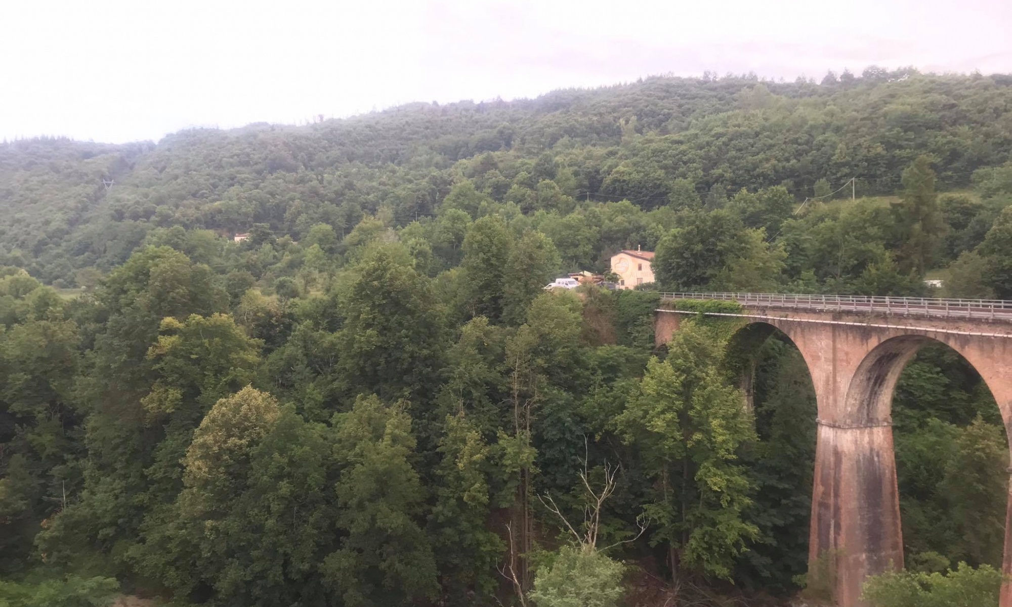 Mask of Conflict | Hajzer Erzsébet Aviva módszer oktató weblapja